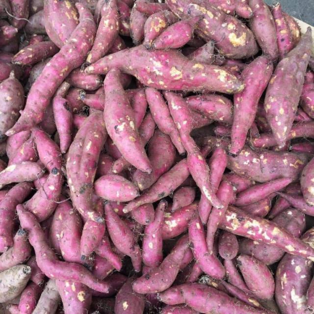 Cameron Ubi keledek purple/kuning/oren sweet potato 1kg | Shopee Malaysia