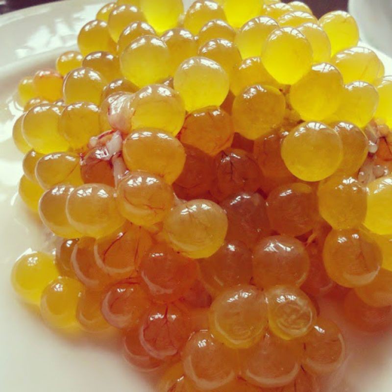 Telur Ikan Mayung 1 pack (800/900gram) | Shopee Malaysia