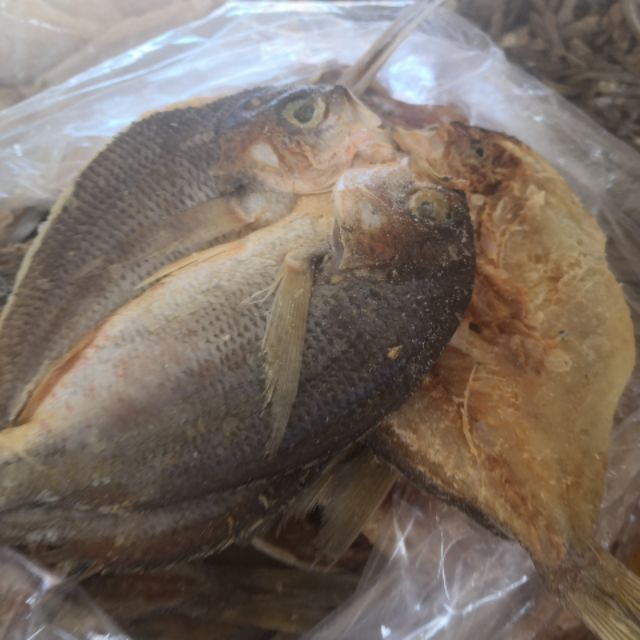 🔥 HOT DEAL 🔥 IKAN SULIT SABAH 🔥 | Shopee Malaysia