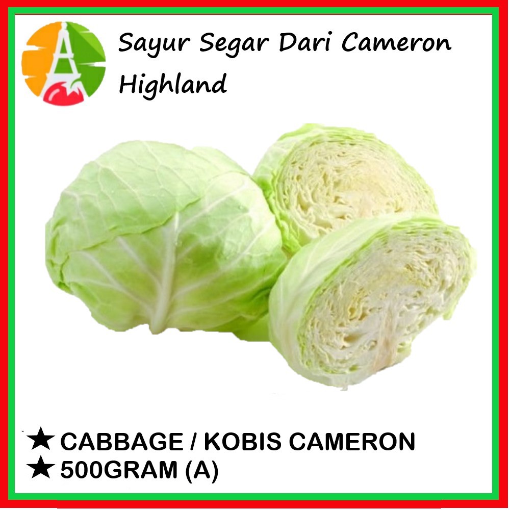 CABBAGE / KOBIS CAMERON - SAYUR SEGAR DARI CAMERON HIGHLAND - FRESH FROM FARM - NEXT DAY ...