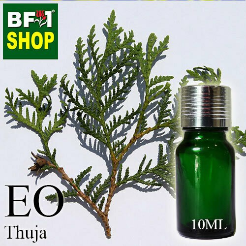 Pure Essential Oil (EO) - Thuja Essential Oil - 10ml | Shopee Malaysia