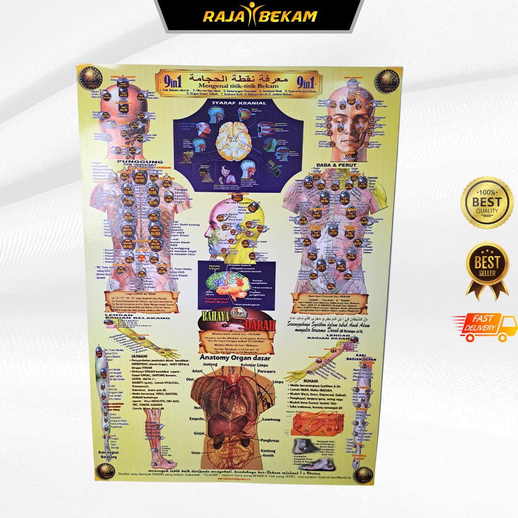 Poster Panduan Bekam / Poster 9in1 / Peta Titik Bekam A3 / Poster Titik ...