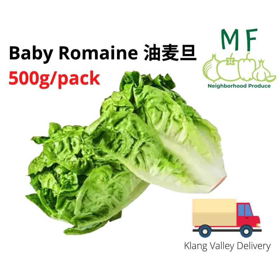 [Fresh From Farm] 油麦旦 Baby Romaine Lettuce/Yao mak 500g (Klang Valley ...