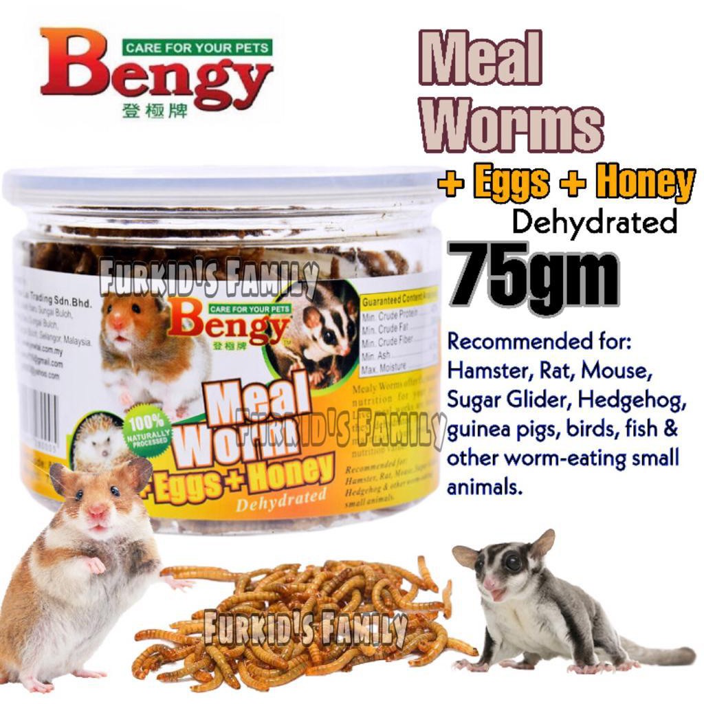 Bengy Meal Worm +Eggs +Honey Dehydrated Hamster/Sugar Glider/Hedgehog ...