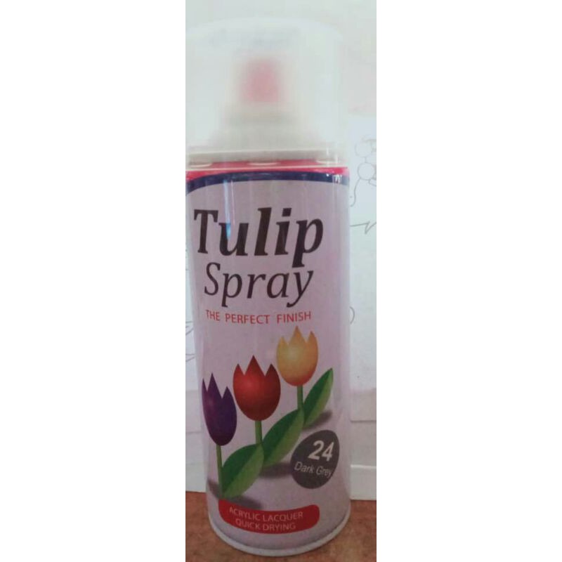 TULIP SPRAY THE PERFECT FINISH ( COLOUR Dark Grey / 24 ) ( 400ml ) ( SEEEF) | Shopee Malaysia