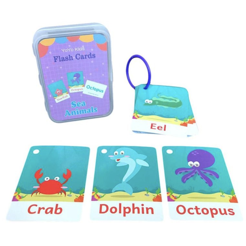 Early Learning Flash Card Kad Animal Shape Colour Body Number Alphabet ...