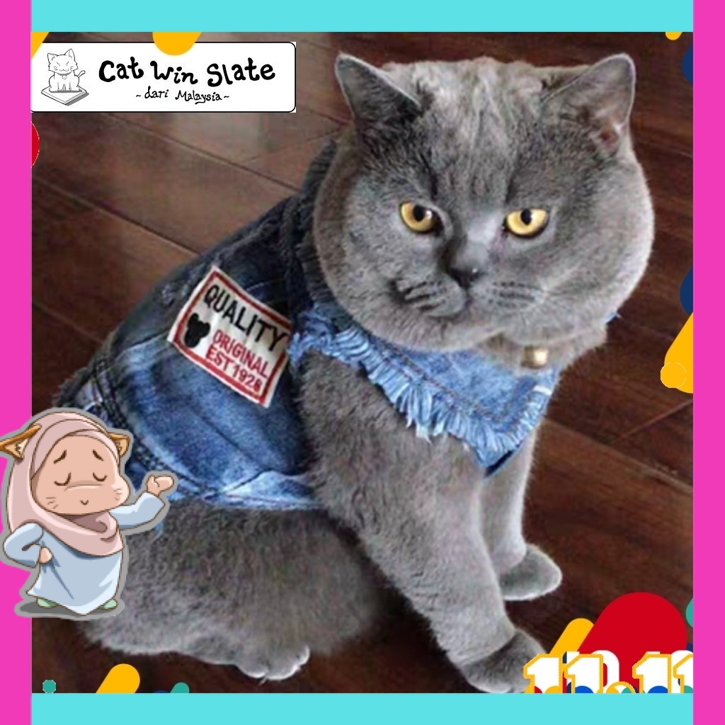 Ready Stock Malaysia Cat Clothes Jacket Pet Costumes Baju Kucing Comel ...