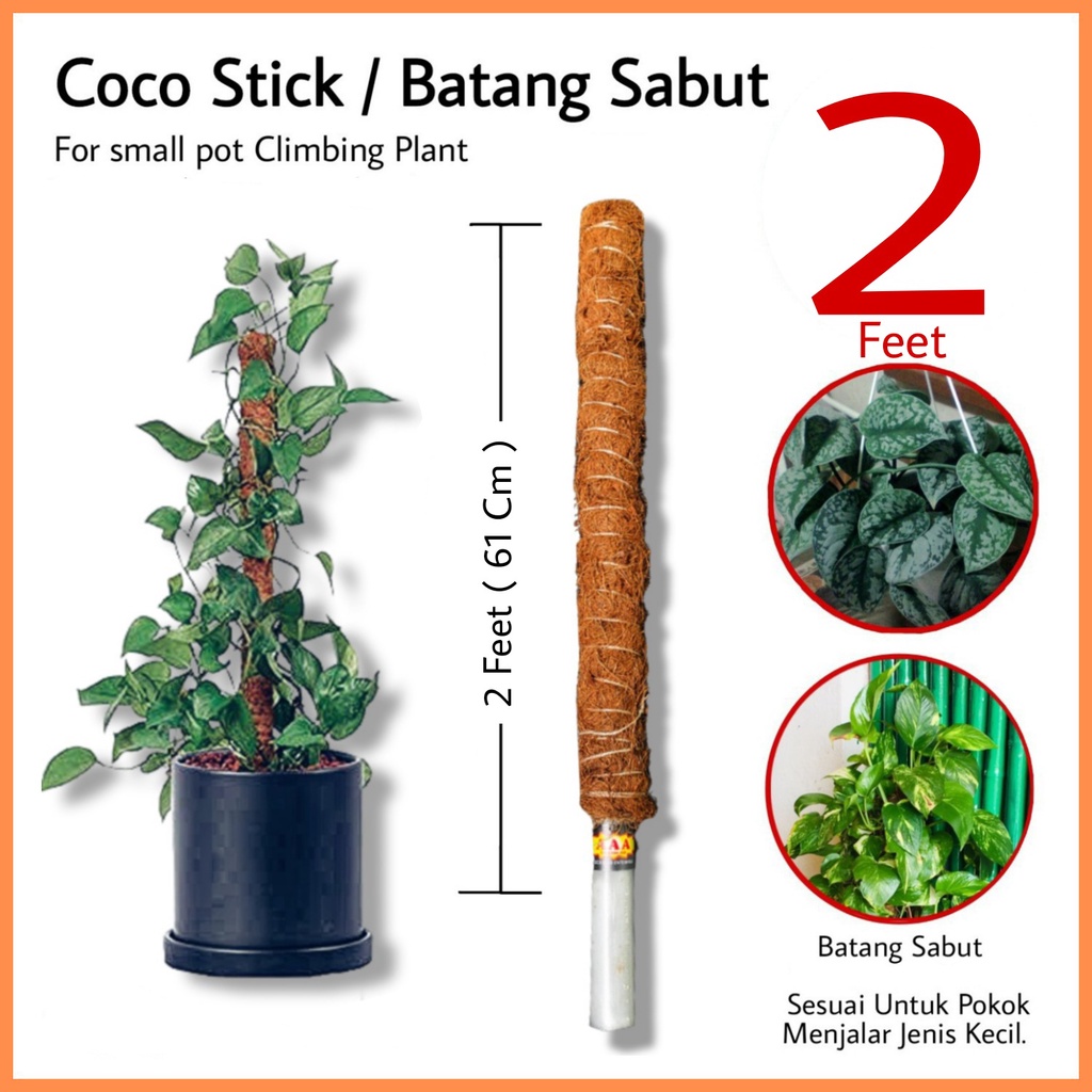 Tiang sabut 2 Feet ( 61 CM ) coco stick /home / gardening / monstera ...