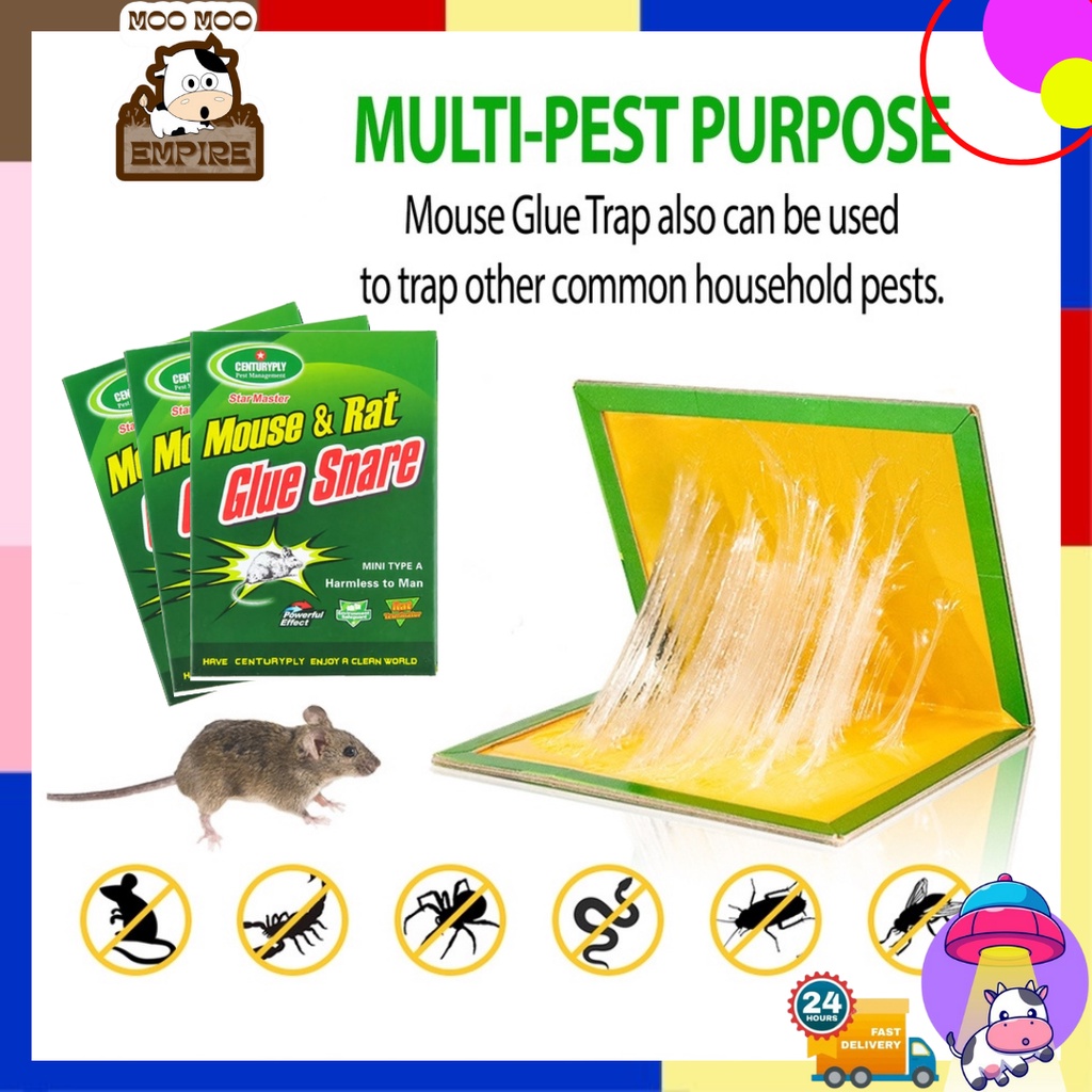 𝗦𝗔𝗠𝗘 𝗗𝗔𝗬 𝗣𝗢𝗦𝗧 〗Super Mouse Glue Trap Snake Bugs Rat Mice Catcher Board ...