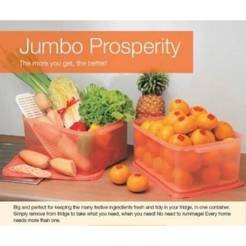 Tupperware Jumbo Modular Keeper with Grid (1) 15L | Shopee Malaysia