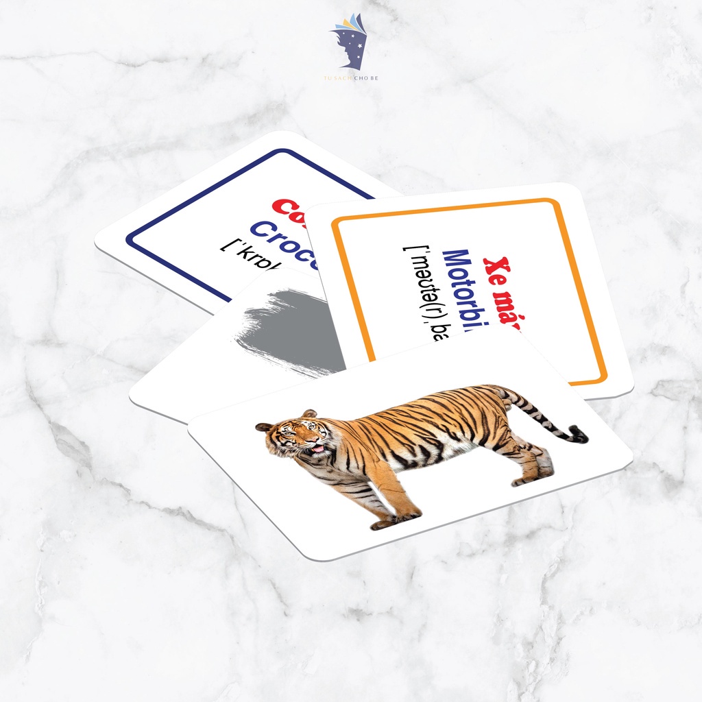 Books - Flashcard Smart Learning Card Set (18 topics - 288 cards ...