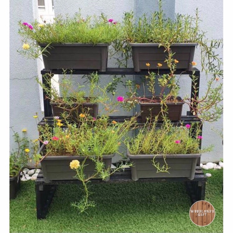 Rak Bunga Kayu Bertingkat /Rak Pasu Bunga Outdoor /Flower Rack & flower ...