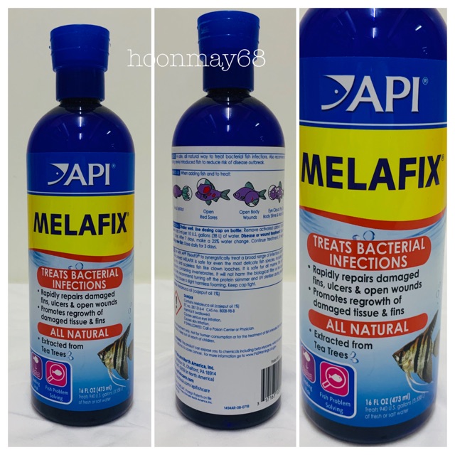 API MELAFIX Natural Antibacteria Fish Care and Treatment (New & 100% Original)473ml | Shopee ...