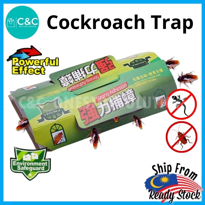 C&C Cockroach Lizard Trap Lipas Cicak Trap Perangkap Cockroach ...