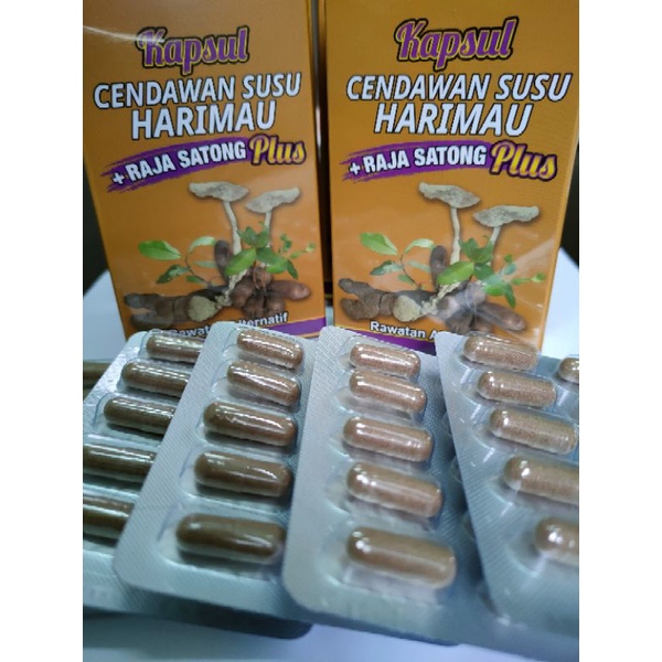 Kapsul Cendawan Susu Harimau + Raja Satong plus | Shopee Malaysia