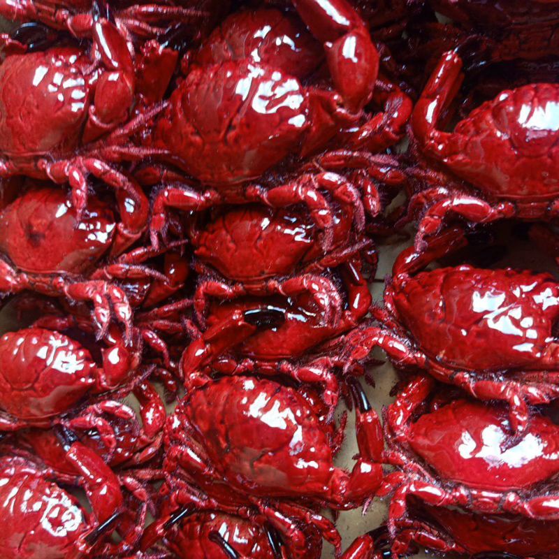 Original Handicraft DRY CRAB DISPLAY | Shopee Malaysia