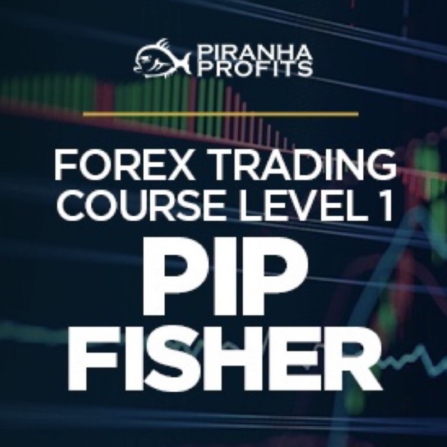 🔥 Forex Trading Course Pip Fisher (full video course) by AdamKh00 | Shopee Malaysia