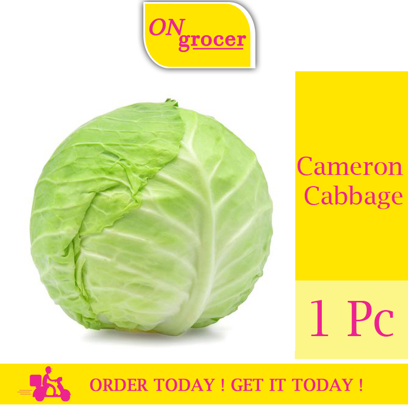 A0246 - Cameron Cabbage - 1 Pc | Shopee Malaysia