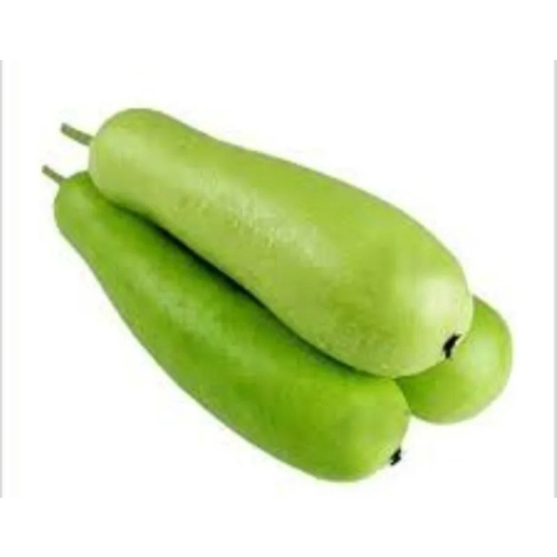 labu air hasil kebun rm5/kg | Shopee Malaysia