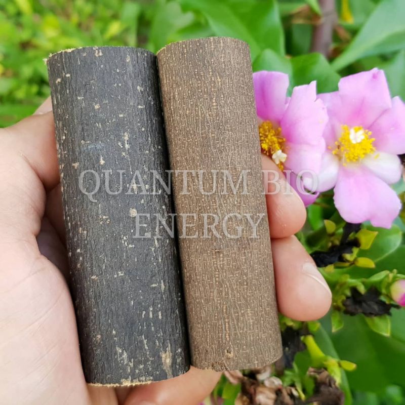 Tas Jantan & Betina / Kayu Limpanas / Kayu Hujan Panas (100% ASLI) 8 CM ...