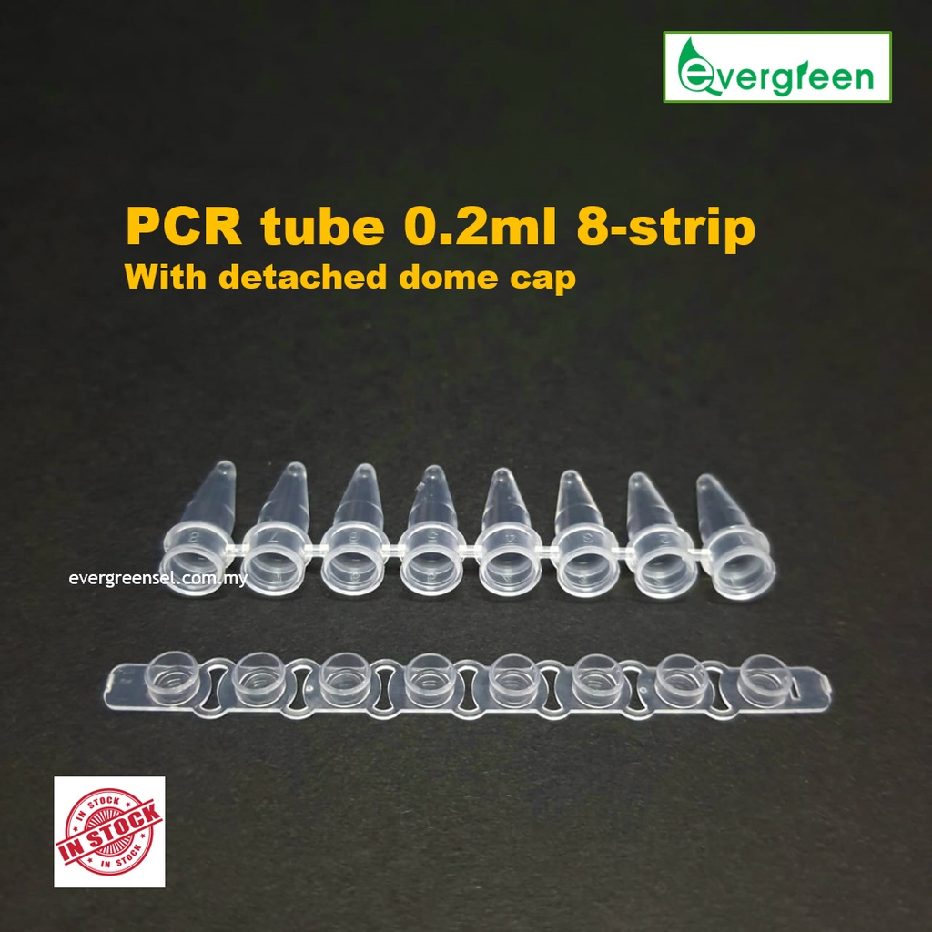 ( PROMO ) PCR tube 0.2ml 8-strip with detached dome cap (200pcs/pack ...