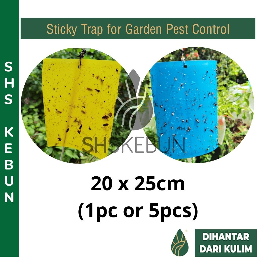 Sticky Trap for Garden Pest Control Double Sided 20 x 25 cm 粘虫板 SHS ...