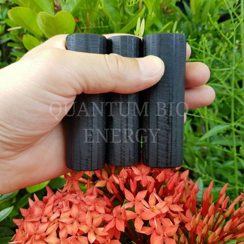 Teras Penawar Hitam (100% ASLI) Gred Padu Terpilih / 8 CM | Shopee Malaysia