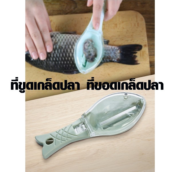 Fish Scale Scraper Hooking Wood Device Remover | Shopee Malaysia