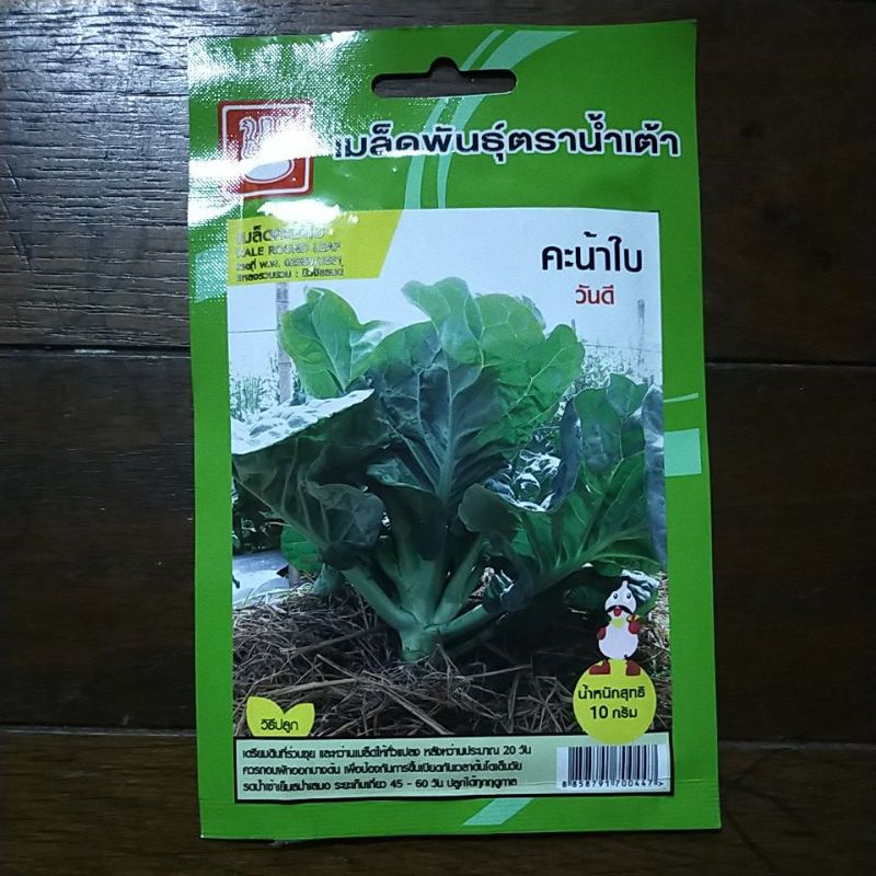 BENIH SEEDS KAILAN DAUN KALE ROUND LEAF THAILAND | Shopee Malaysia