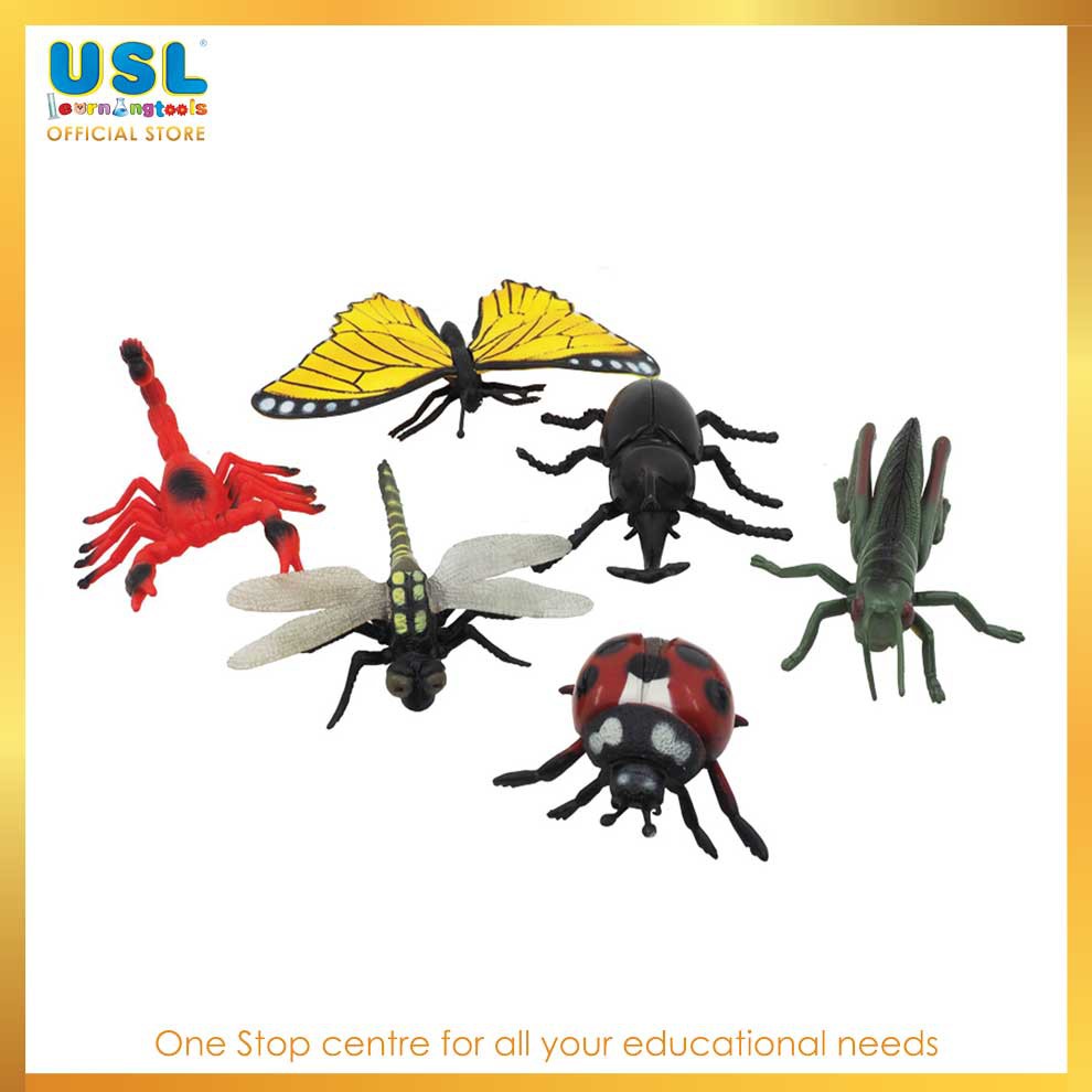 Giant Insects Model (6/Set) - Dramatic Play - Durable - Realistic ...