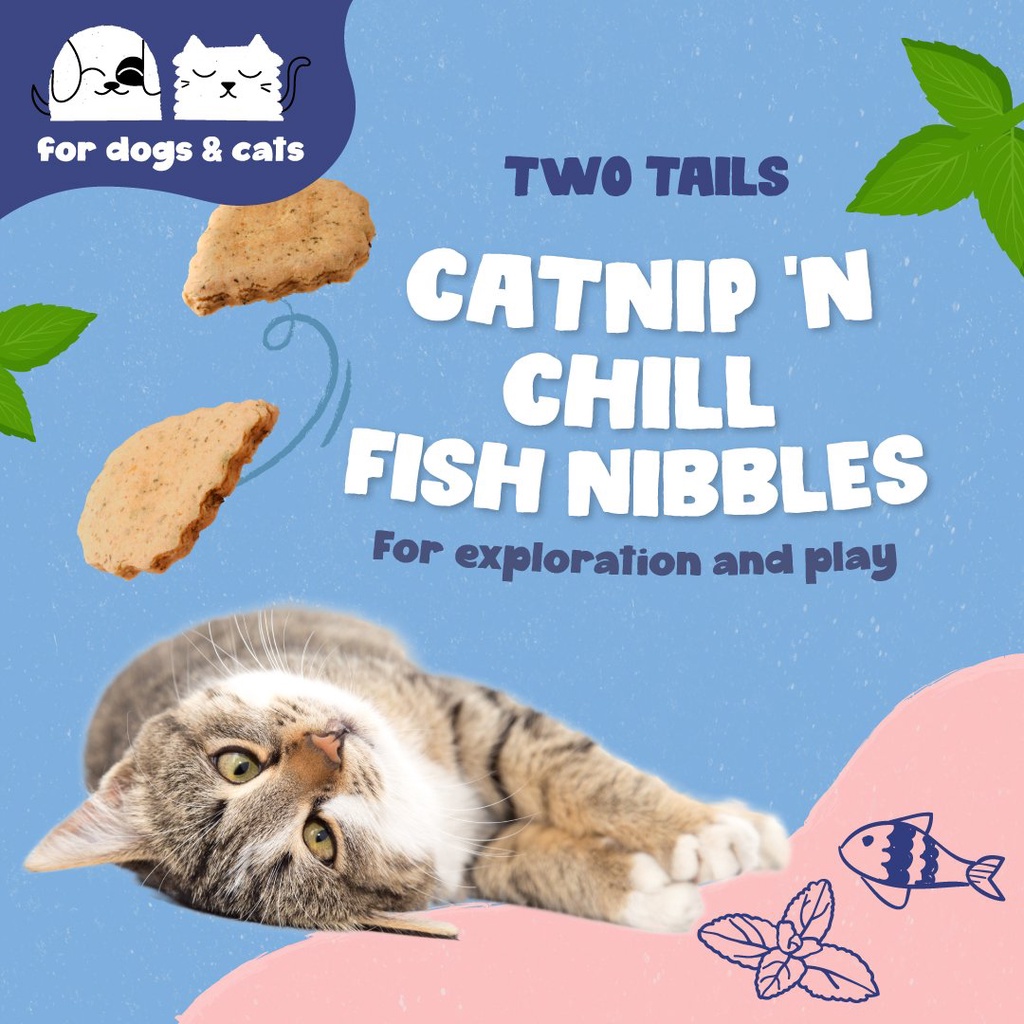 Signature Market Two Tails Catnip 'N Chill Fish Nibbles (For Dogs ...