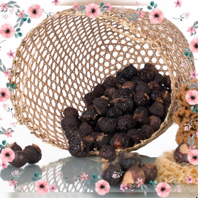 Buah Lerak -Soap nuts (Pencuci Alami) 500g | Shopee Malaysia