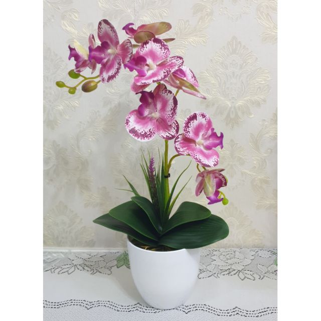 Orkid Latex & Plastic Pot ( ready stock ) | Shopee Malaysia