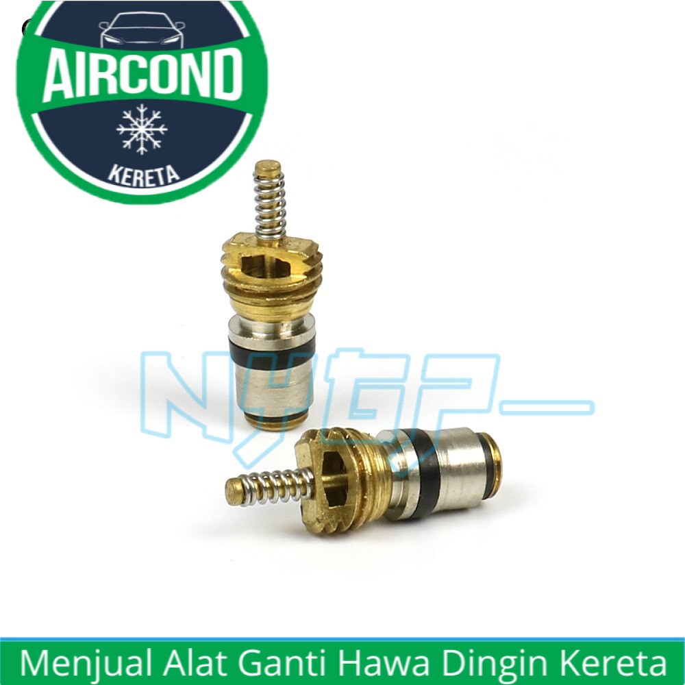 ACK VOLVO PUEGEOT CITROEN AUTO AC AIR COND VALVE CORE ACK | Shopee Malaysia