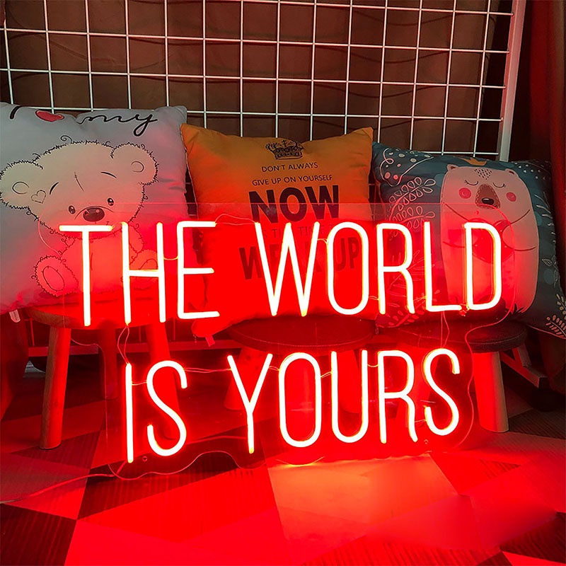 Neon Signs The World is Yours Pink Neon Light Sign Hanging Neon Sign ...