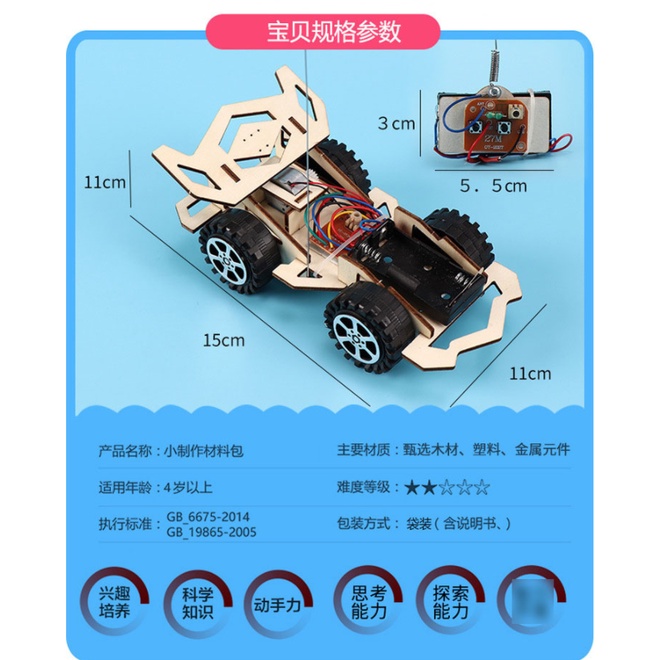 (PROJECT RBT) DIY Assembled RC Racing Car Model Kit Wooden Kids Science ...