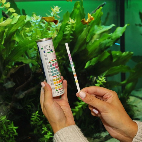 JBL Pro AQUATEST Easy 7 in 1 50 Test Strips NO2 NO3 GH KH pH CL2 CO2 ...