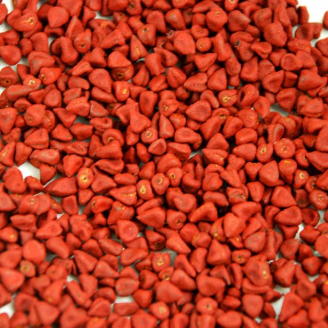 Annatto seeds 100g - 1KG achiote seed asian cooking spices | Shopee ...