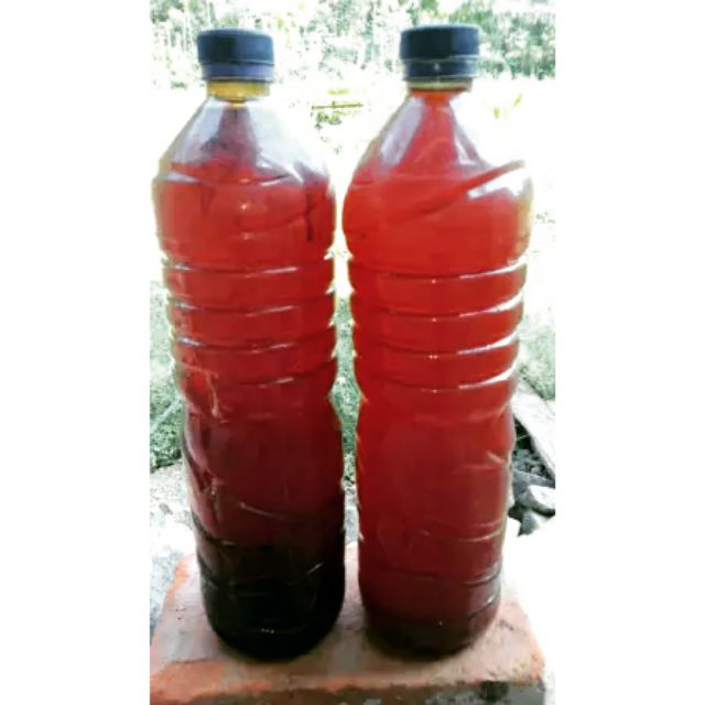Cuka kayu / wood vinegar untuk kawalan penyakit dan perosak organik 1 ...