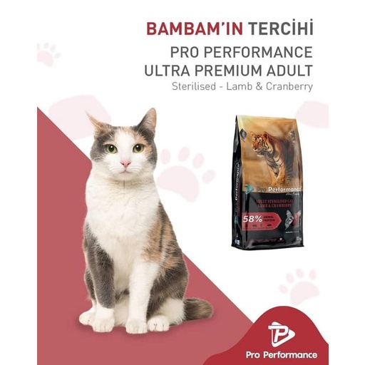 Pro Performance Ultra Premium Cat Food 800gm Repack -Vacuum Pack ...