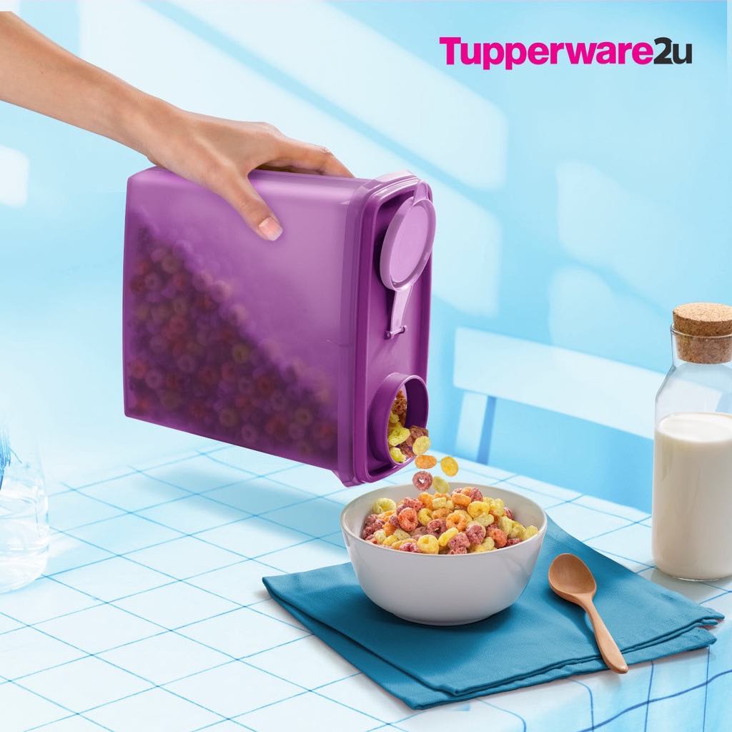 Tupperware Snack EZ Storer Clear Window 2.9L (Multi Storer container ...