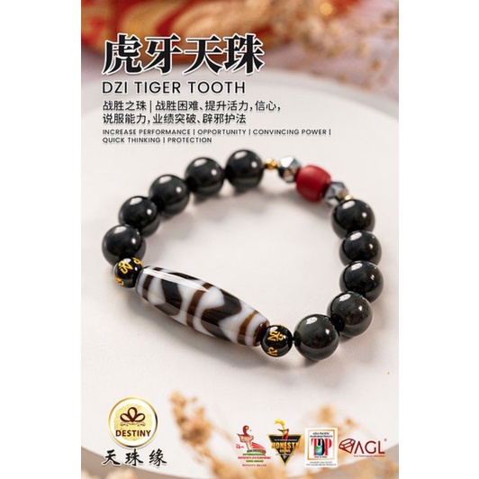 DZI DESTINY 天珠缘｜虎牙天珠系列｜增强胆量 • 锁定目标 • 销售好运｜黑曜石＋太赫兹＋黑玛瑙｜Tiger Tooth Dzi ...