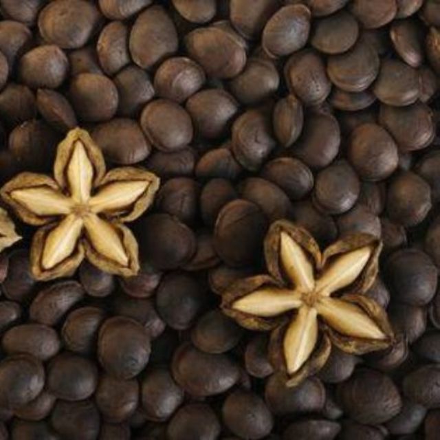 Sacha inchi bean/benih kacang Sacha inchi | Shopee Malaysia