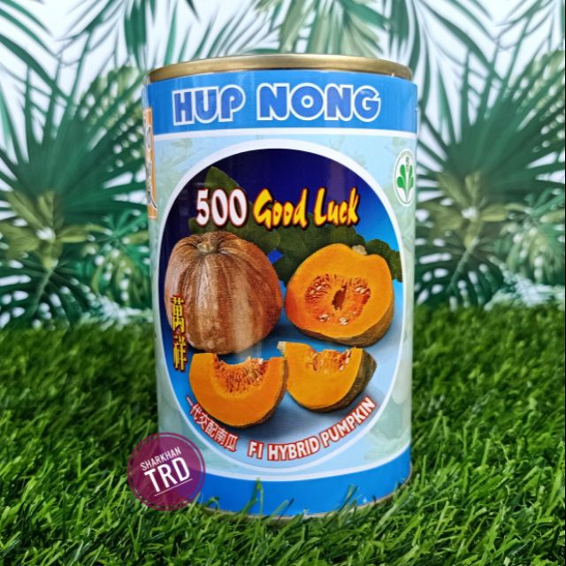 🔥 New Stock 🔥 Tin 150g 500 GOOD LUCK Hup Nong Biji Benih Labu Madu ...