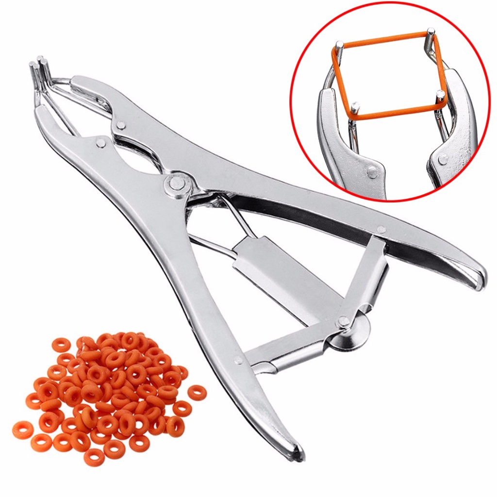 New Elastrator Collet Castration Pliers + 100 Rubber Rings For Lamb Pig Castrate | Shopee Malaysia