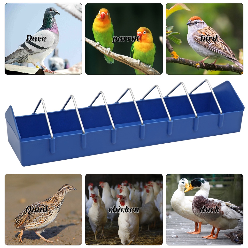 【Ready stock】Large Pigeon Chicken Feeder Plastic Trough Pigeon Drinker ...