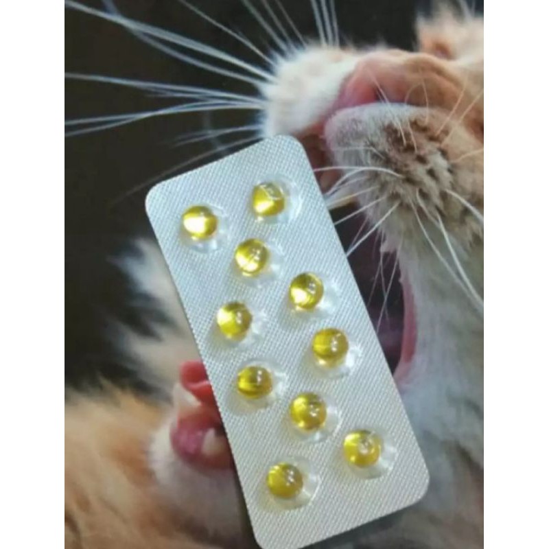 🐈🐈UBAT SEMBELIT/KENCING TAK LAWAS🐈🐈UNTUK KUCING DEWASA SAHAJA | Shopee ...