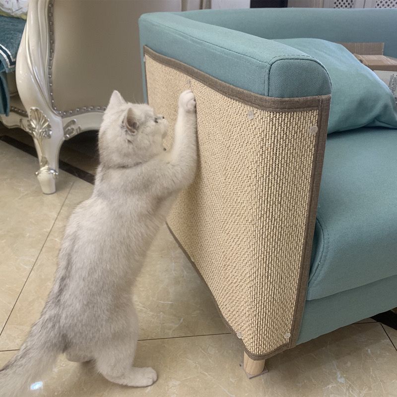 Anti-Cat Scratch Sofa Protector Prevent Cat Scratching Door Leather ...