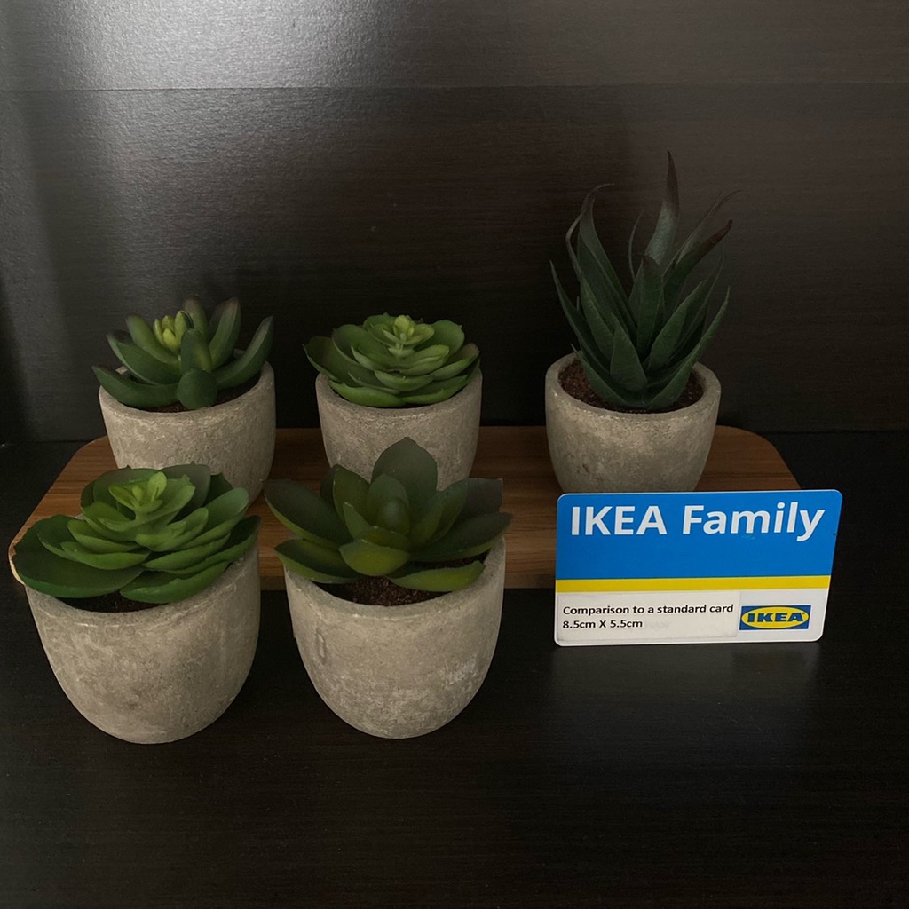 Cactus Pot Kaktus IKEA Palsu Gaya Nordic dalam Pasu Mini - Hiasan Rumah ...