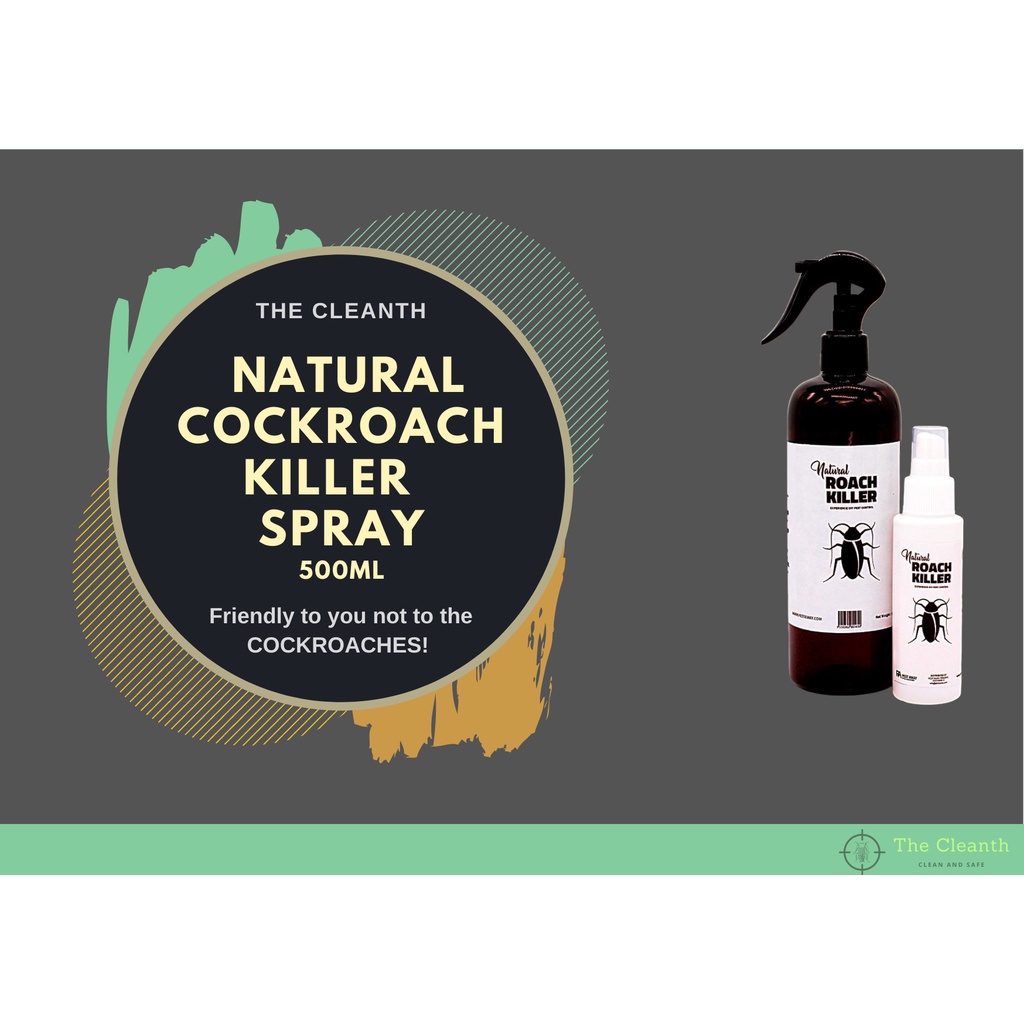 Ubat Lipas Berkesan Semula Jadi / Cockroach Killer Natural Spray ...